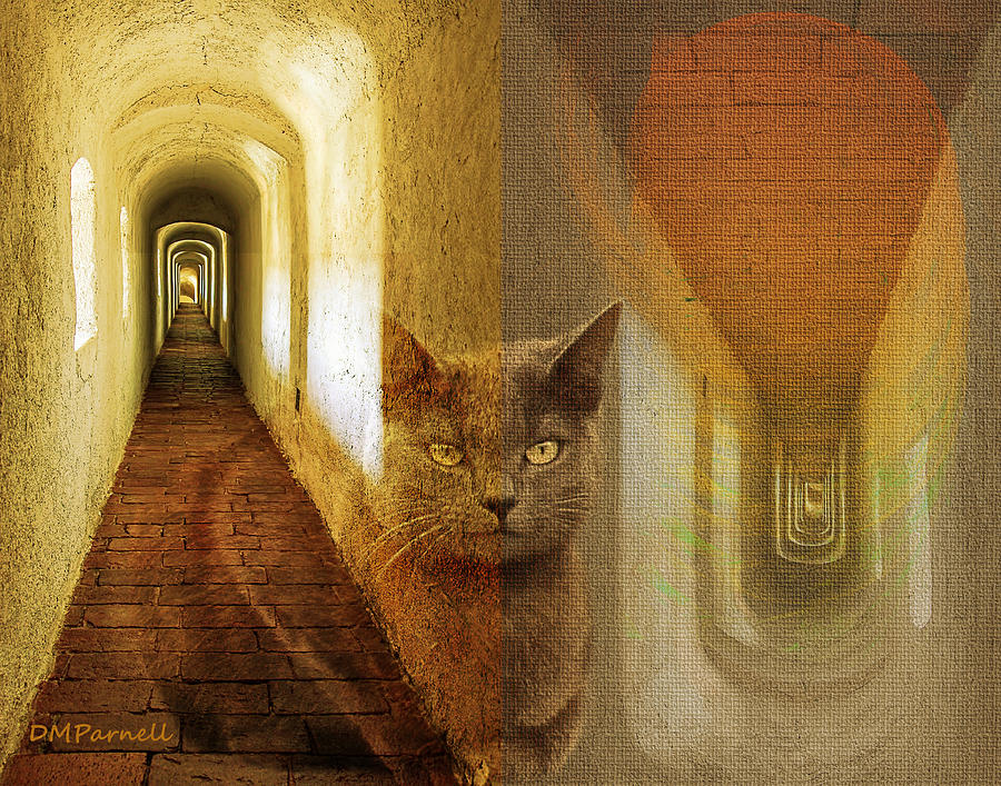 Inversion Digital Art by Diane Parnell - Fine Art America