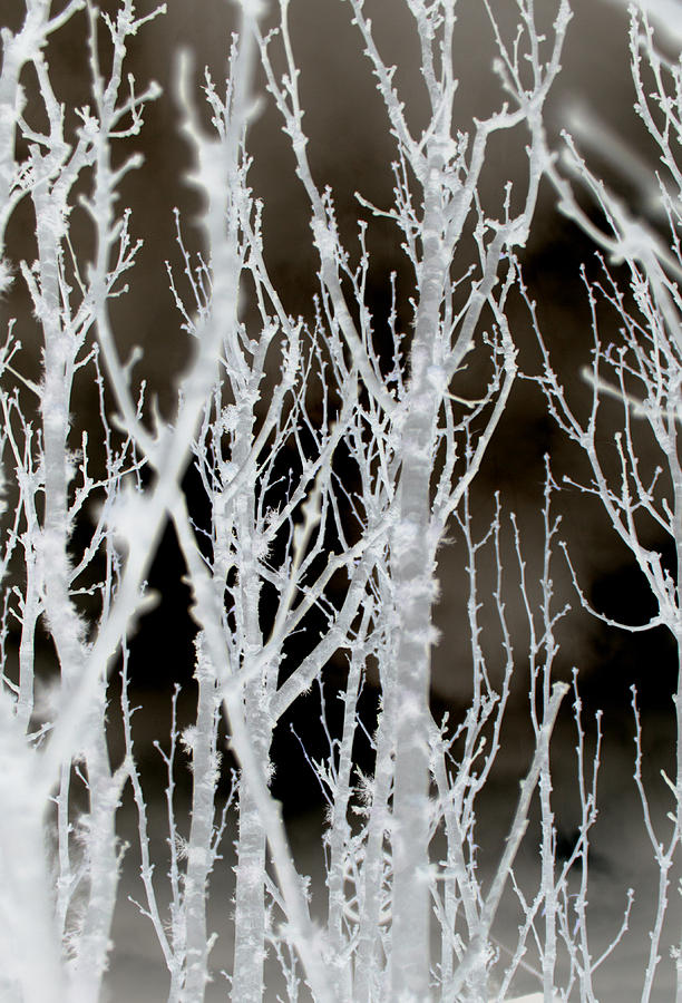 Inversion Photograph by Roxanne Warrington - Fine Art America