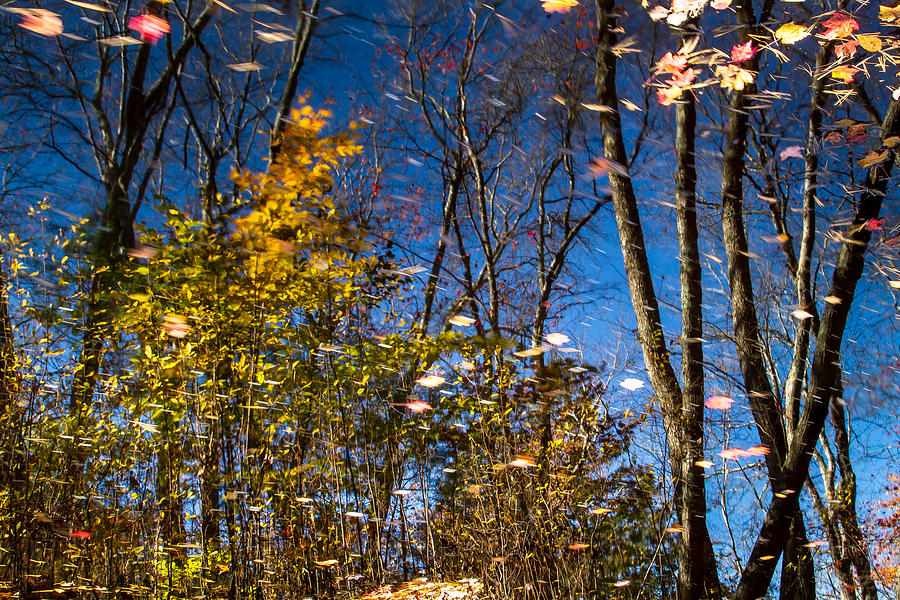 Inverted Perception Photograph by Don Lawrence - Fine Art America