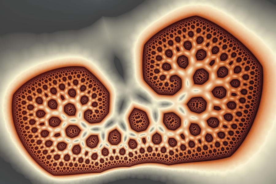 Inverted Tree Digital Art by Mark Eggleston | Fine Art America