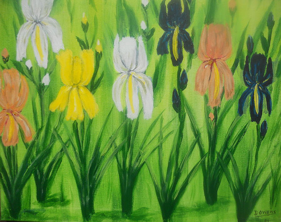 Iris Painting by Daryl Owens - Fine Art America