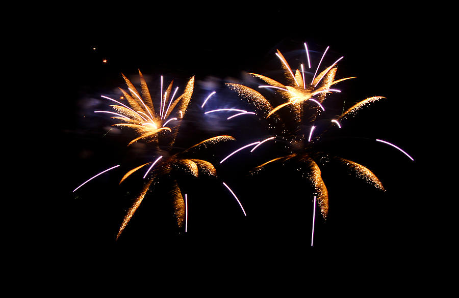 Iris Photograph by Lester Phipps - Pixels