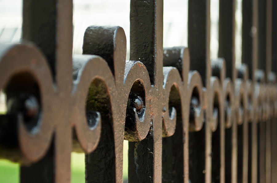 Iron Bars Photograph by Mindee Fredman - Fine Art America