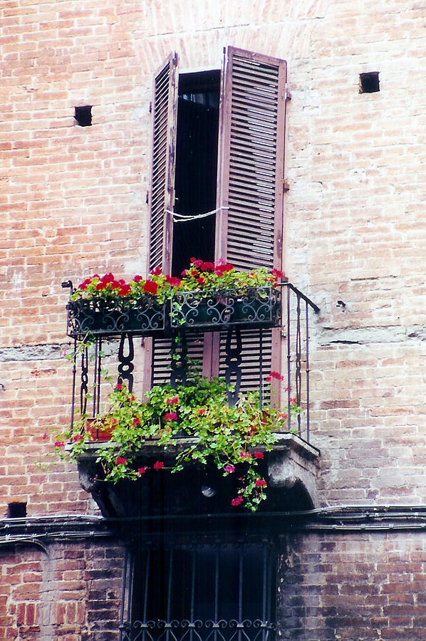 Italian Window Photograph by Tracy Nelson - Fine Art America