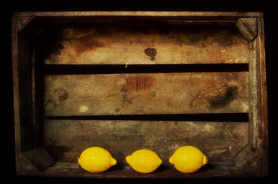 Jackpot Photograph by Michael Marker - Fine Art America