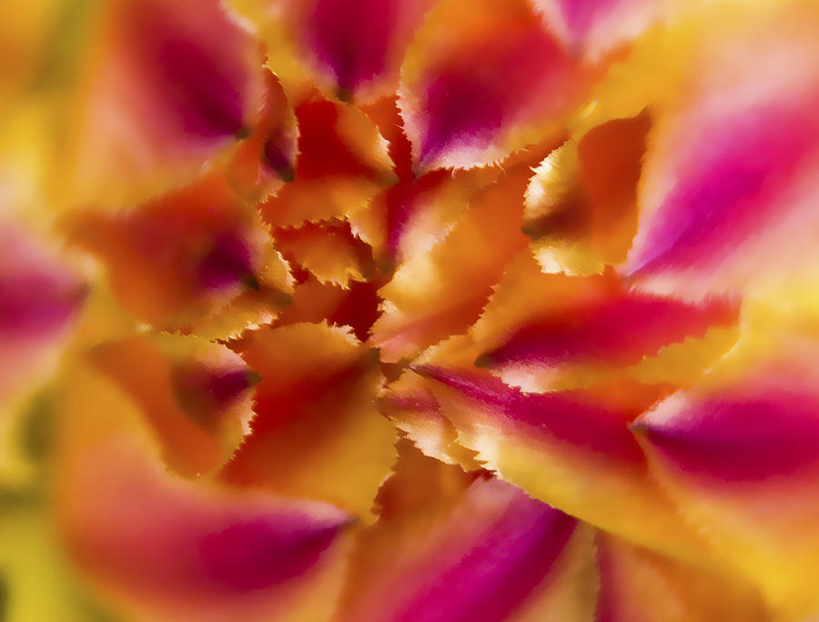 Jagged Edges Photograph by Patrick Moore - Fine Art America