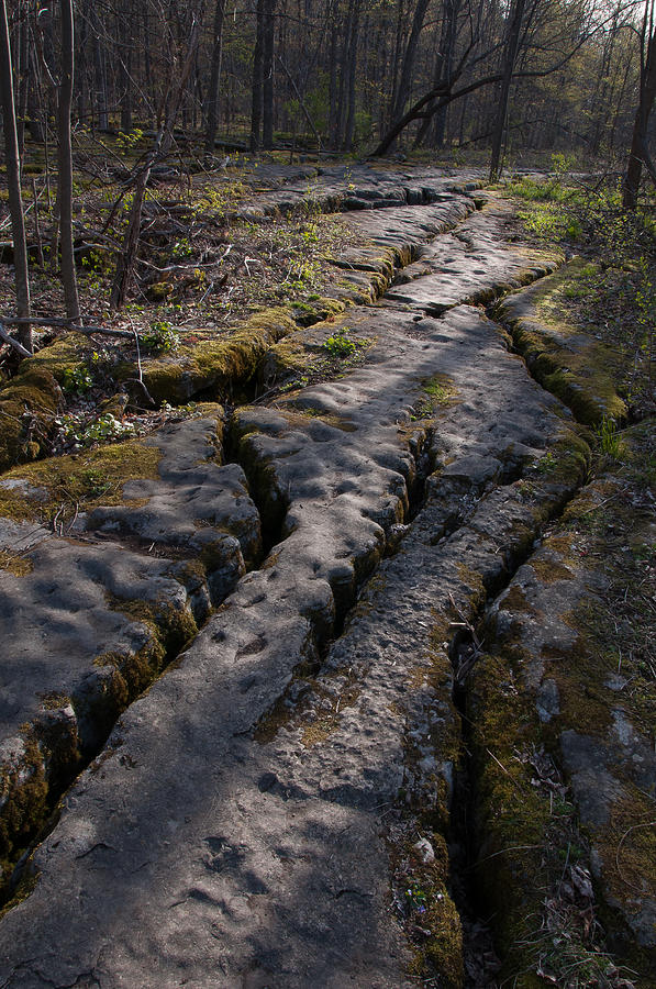 Jagged Path Photograph by Daniel Kelly - Fine Art America