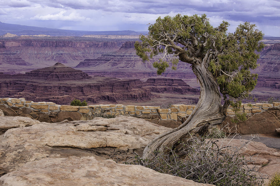 Juniper Canyon Photograph by Scott Ackerman - Fine Art America