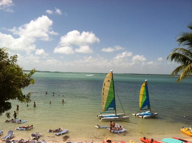 Key Largo Digital Art by Lisa Rispoli - Fine Art America