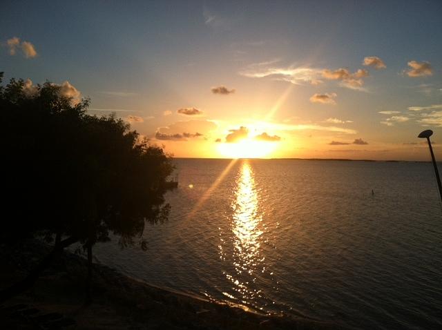 Key Largo Sunset Digital Art by Lisa Rispoli - Fine Art America