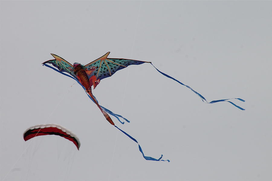 Kite Pair Photograph by Wayne Williams - Fine Art America