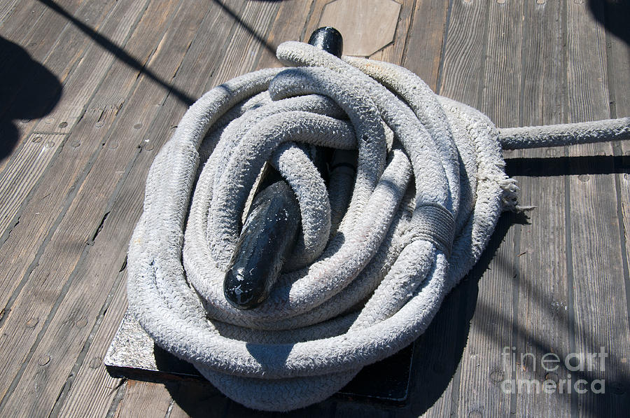 Knotty Problem Photograph by Brenda Kean - Fine Art America