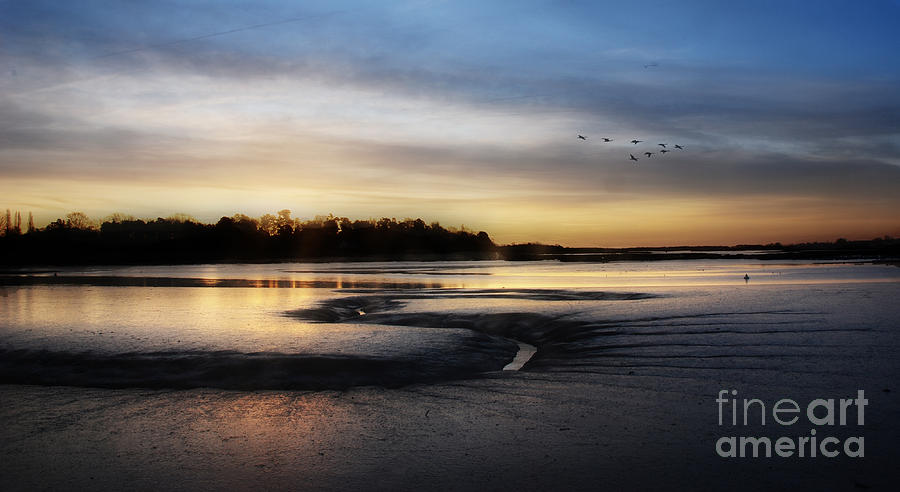 Kyson Point Woodbridge Photograph by Malcolm Bumstead | Fine Art America