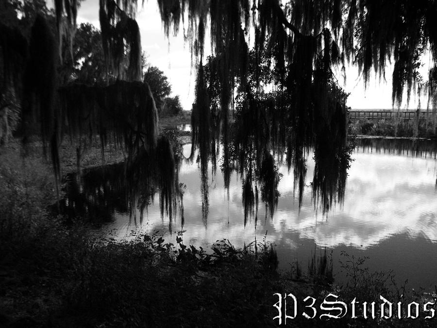 La Chua Trail Photograph by Corvus Alyse - Fine Art America