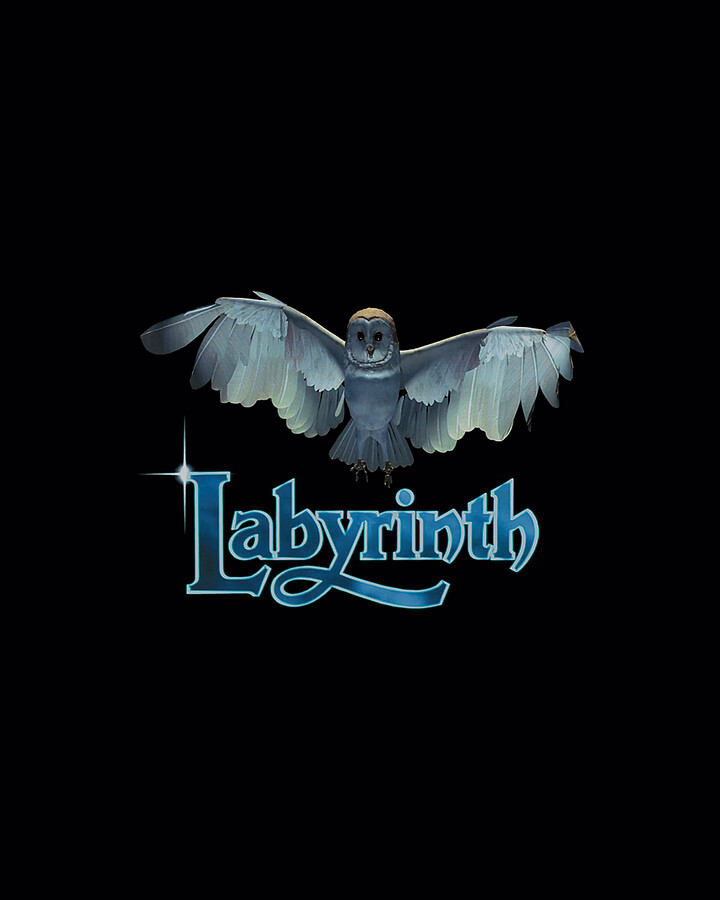Labyrinth - Title Sequence Digital Art by Brand A