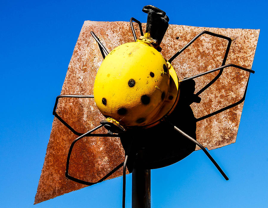 Ladybug Photograph by Gary Reed - Fine Art America