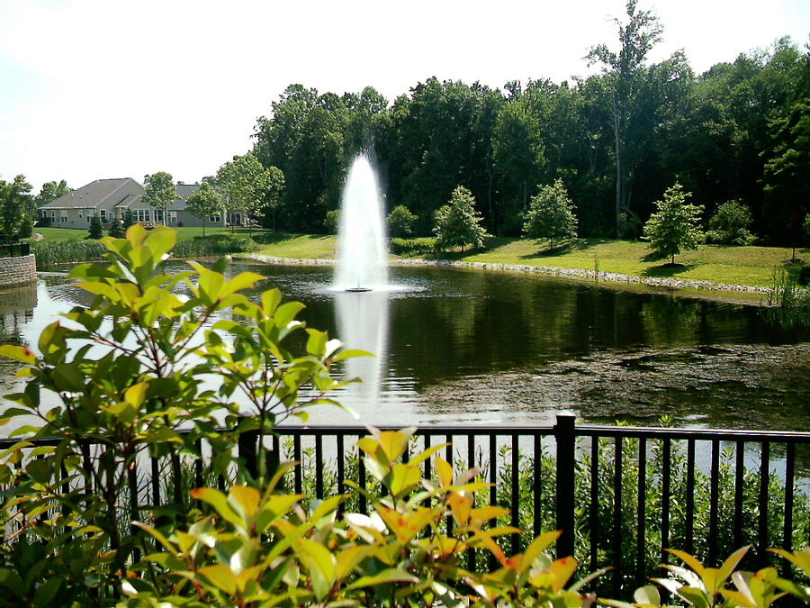 Lake in Bloom Photograph by Desline Vitto - Fine Art America