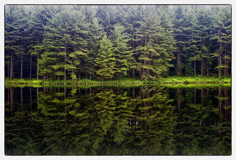 Lake Reflection Photograph by Patrick Garner - Fine Art America