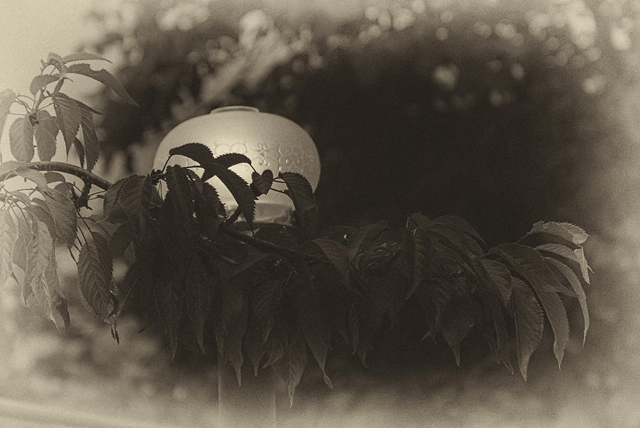 Lantern Photograph by Keith Cullis - Fine Art America