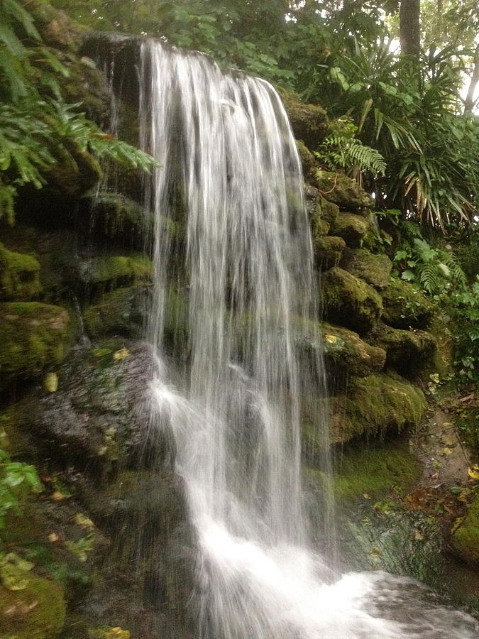 Large Fall Photograph by Tammy Dutton - Pixels