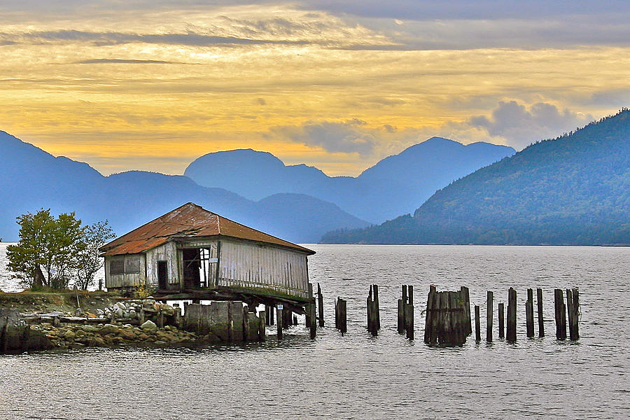 Last Legs Photograph by Ron Ritchey - Fine Art America