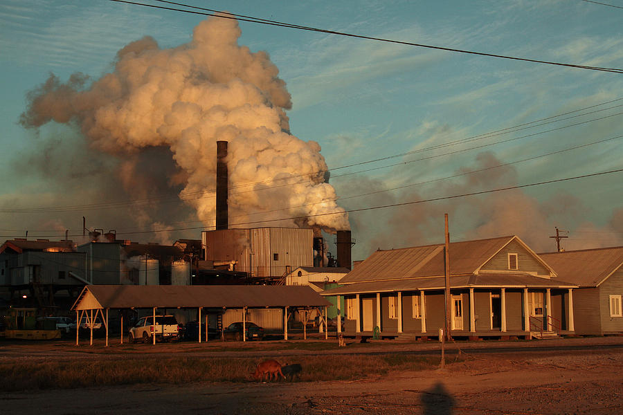 Lasuca Photograph by Ronald Olivier - Fine Art America