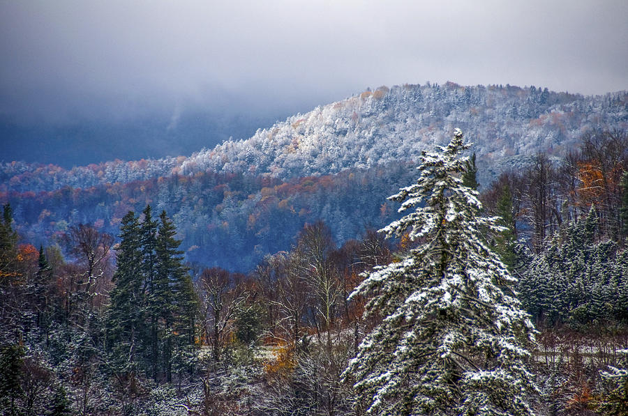Late Fall Snow Photograph by Wayne Anders - Fine Art America