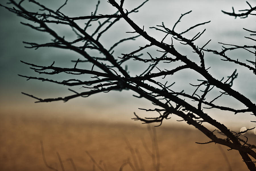 Layers. Photograph by Brian Clary - Fine Art America