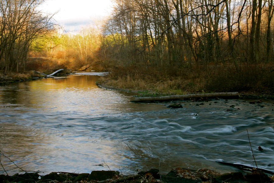 Lazy River Pyrography by Patricia Innes - Fine Art America