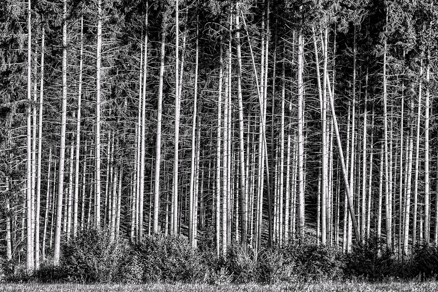 Lean Two Digital Art by Phil Dyer - Fine Art America