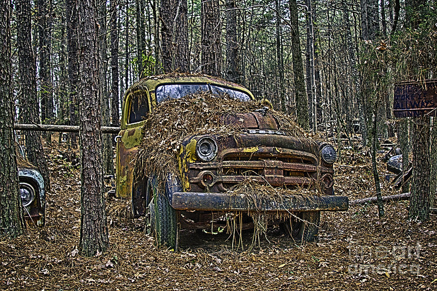 Left Behind Photograph by Heather Roper - Fine Art America