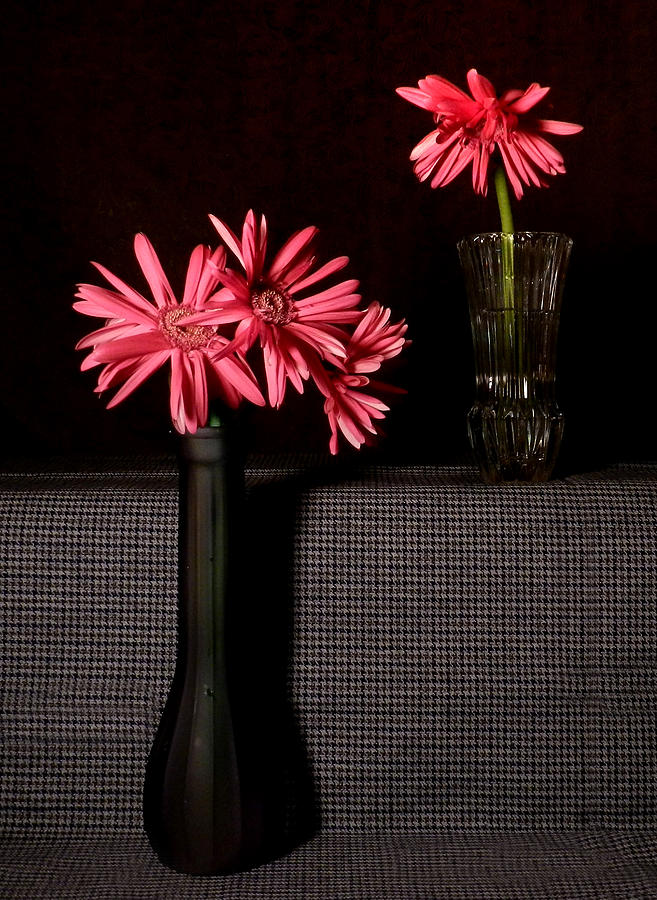 Left Out Photograph by Grace Dillon - Fine Art America