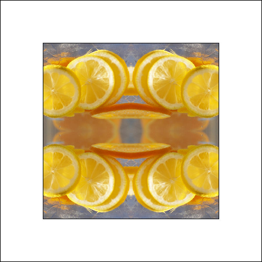 Lemon Drop Photograph by Don Powers - Fine Art America