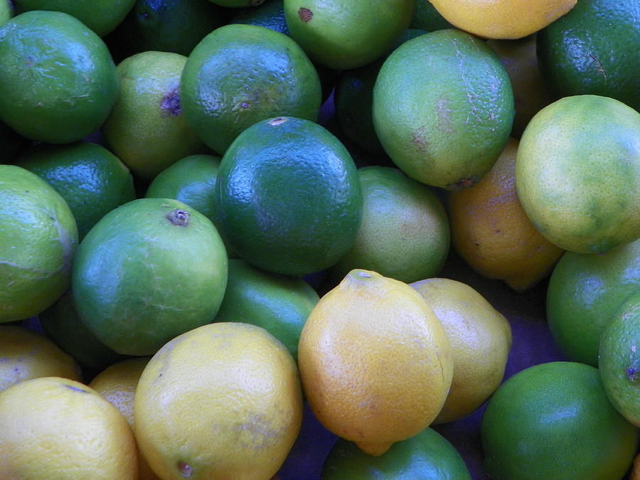 Lemon lime Photograph by Steven Schroll - Fine Art America
