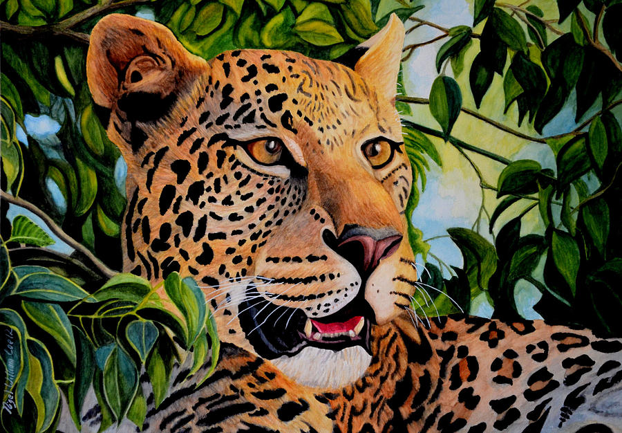 Leopard Painting by Nigel Coe - Fine Art America