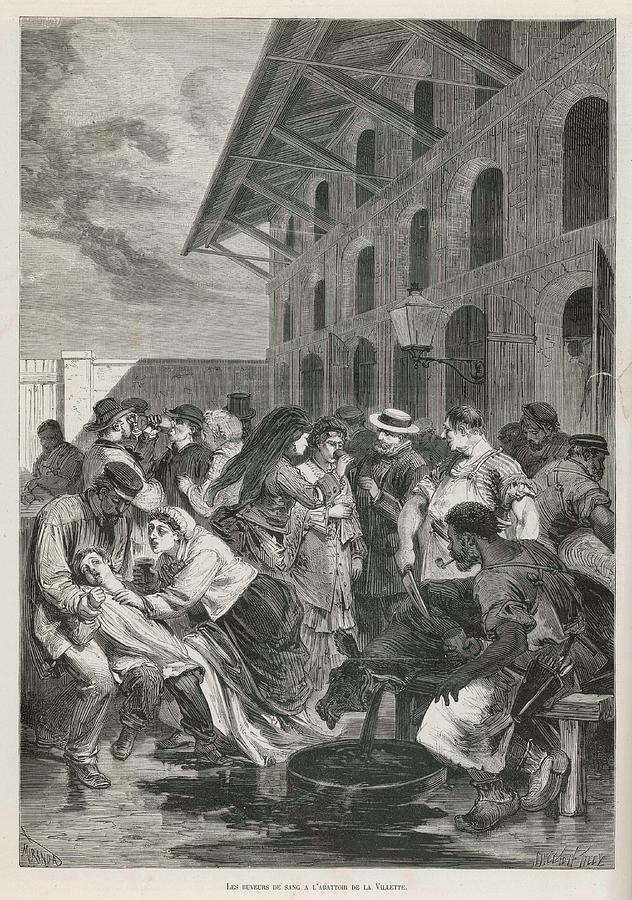 'les Buveurs De Sang' Sickly Parisiens Drawing by Mary Evans Picture ...