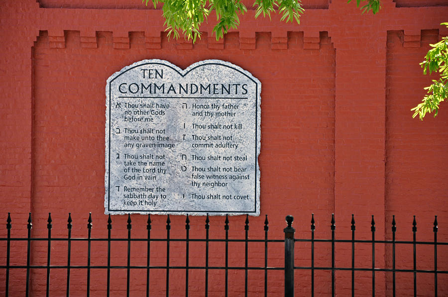 Let's Display Them Photograph by David Dittmann - Fine Art America