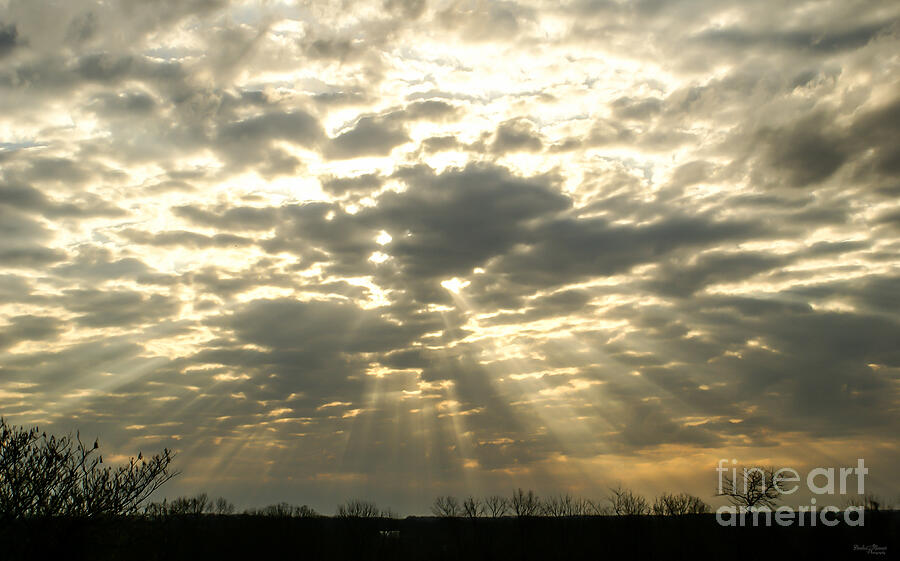 Light From Above Photograph by Jennifer White - Pixels