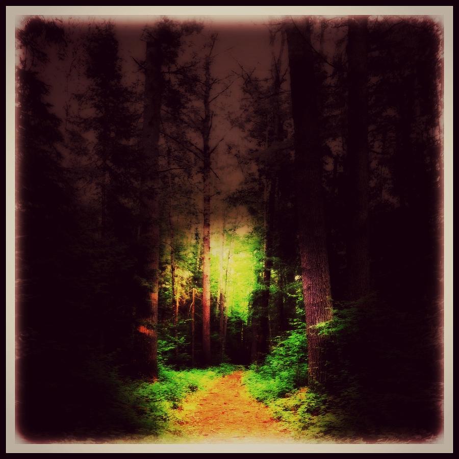 Lighted Path Digital Art by Marlene Thomson - Fine Art America