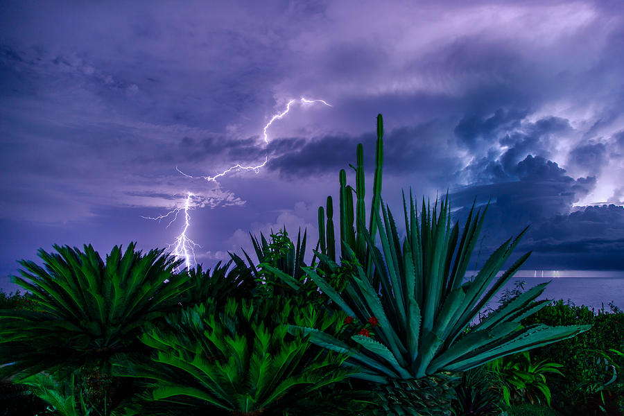 Lightning during storm Photograph by Dmitry Sergeev - Fine Art America