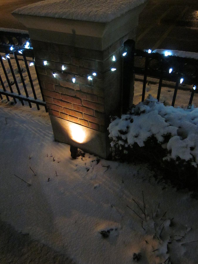 Lights on a String Photograph by Guy Ricketts - Fine Art America