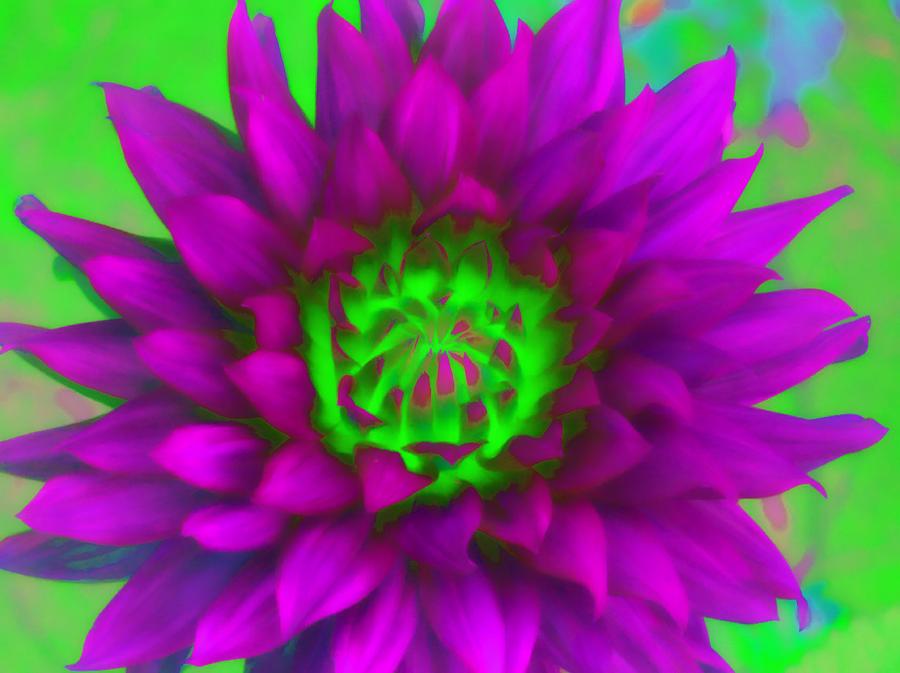 Lime Core Digital Art by Devalyn Marshall - Fine Art America