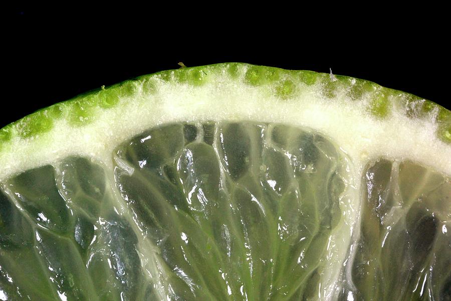Lime Slice by Science Photo Library