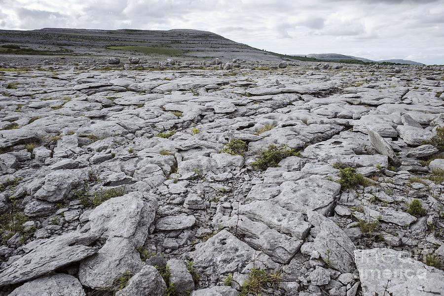 Limestone Pavement Photograph by Robert Brook - Fine Art America