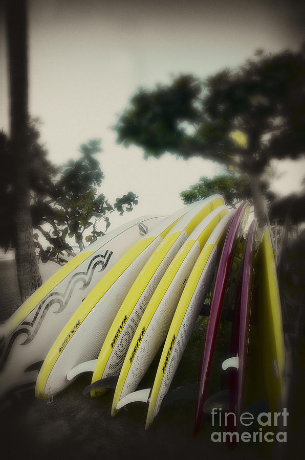 Lined up Surf Boards Photograph by Birgit Tyrrell | Fine Art America
