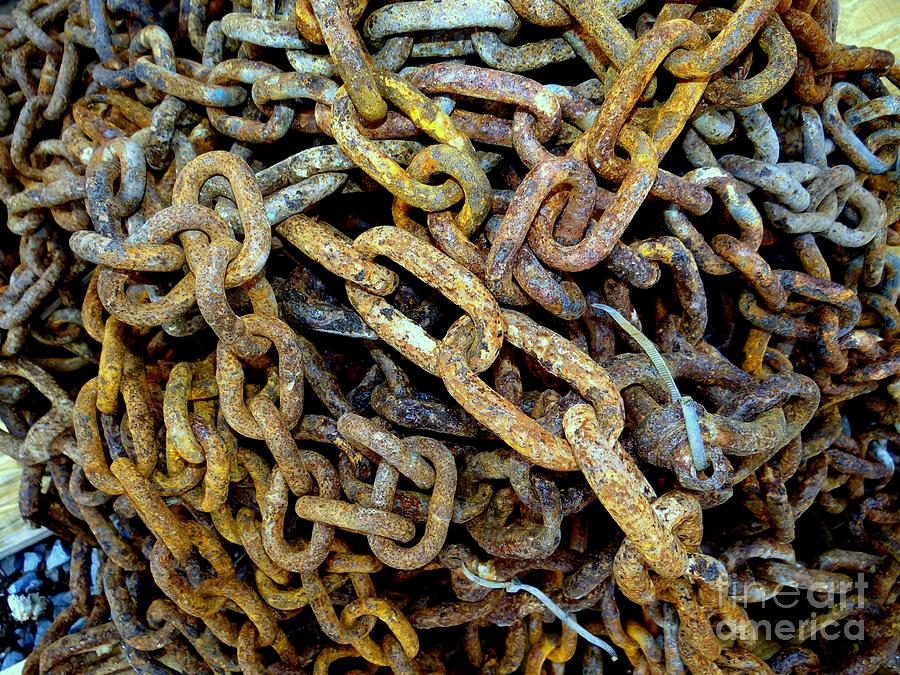 Linked Together Photograph by Ed Weidman | Fine Art America