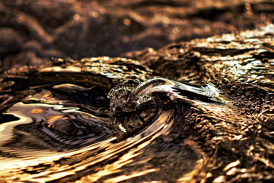 Liquid Gold Photograph by Jay Evers - Fine Art America
