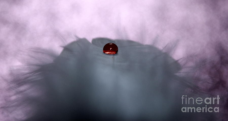 Liquid Ruby Photograph by Krissy Katsimbras