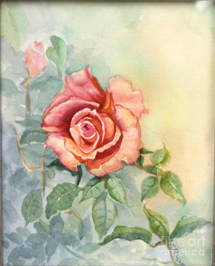 Little Red Rose Drawing by Catherine Moore - Fine Art America