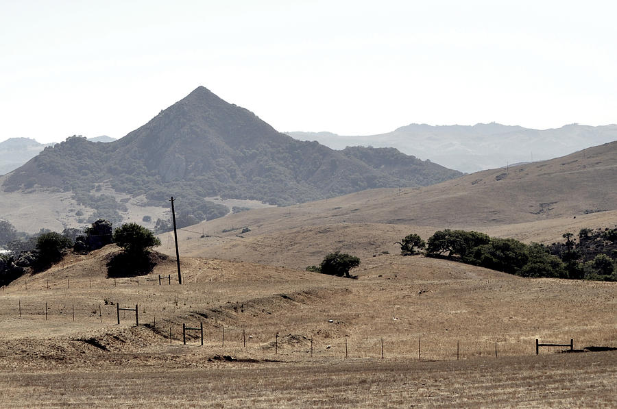 Live Range Photograph by Ida Mae - Fine Art America